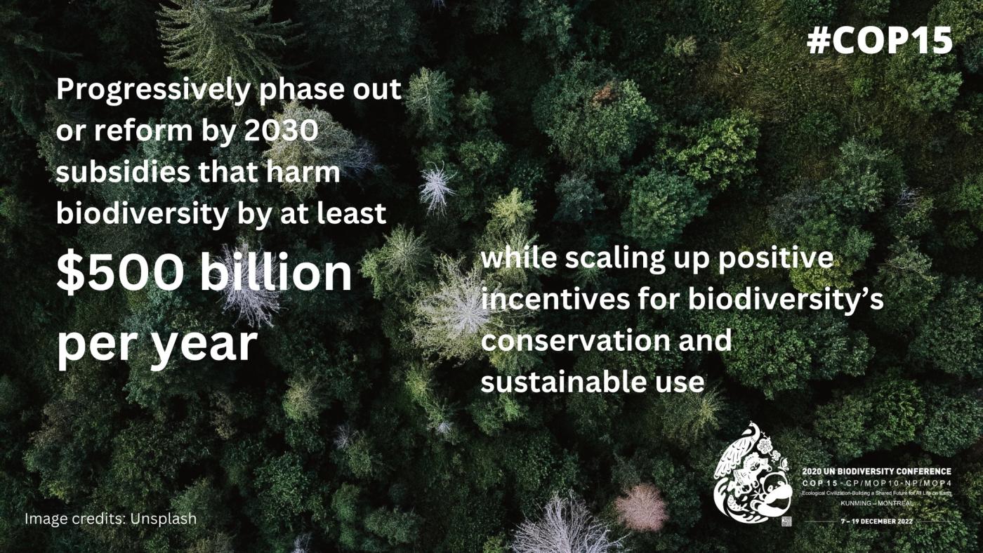 Global Biodiversity Framework Has Been Adopted | ASEAN Clearing House ...