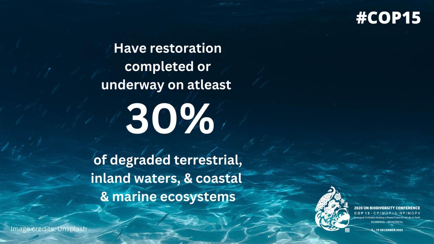 Global Biodiversity Framework Has Been Adopted | ASEAN Clearing House ...