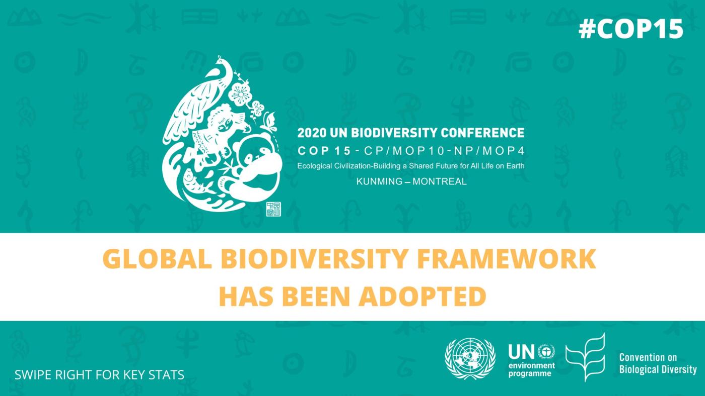 Global Biodiversity Framework Has Been Adopted | ASEAN Clearing House Mechanism