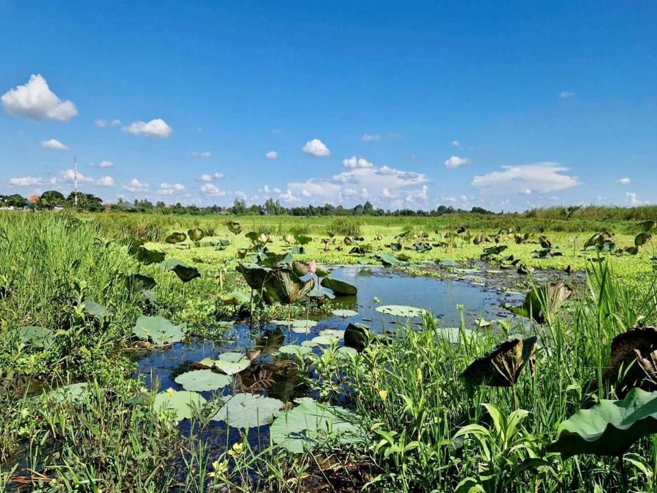Lao PDR mulls nominating Nong Kham Sen as an urban wetland ASEAN ...