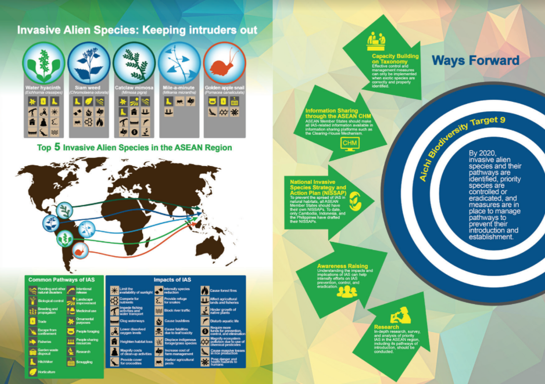 Invasive Alien Species: Keeping intruders out | ASEAN Clearing House ...