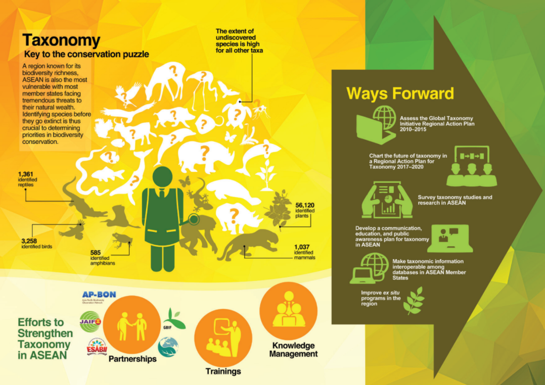 Taxonomy: Key to the conservation puzzle | ASEAN Clearing House Mechanism