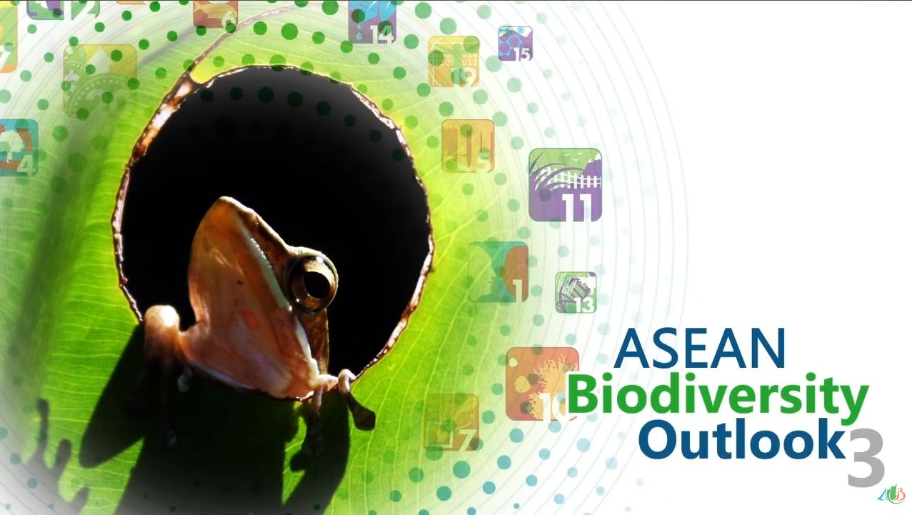 ASEAN launches biodiversity report at COP 15 | ASEAN Clearing House ...
