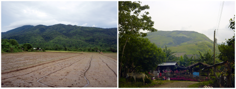 Ecosystems | ASEAN Clearing House Mechanism